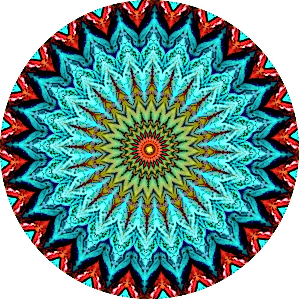 Daily Mandalas | Mandala Love